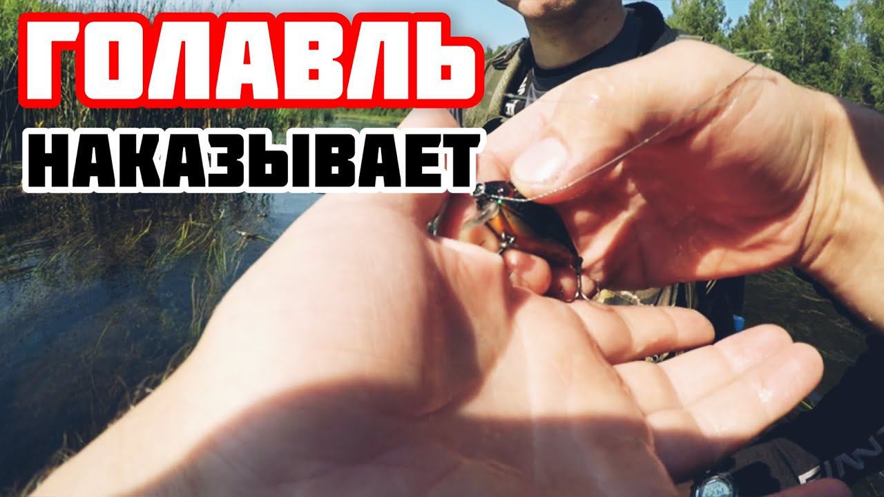 ГОЛАВЛЬ наказывает! Рыбалка на ГОЛАВЛЯ летом!
