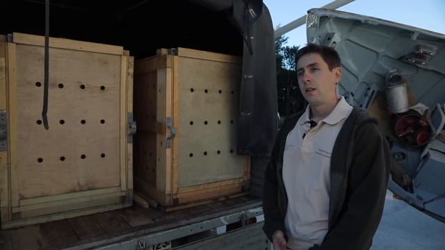 Выпуск леопардов Баксана и Агуры - полная версия!