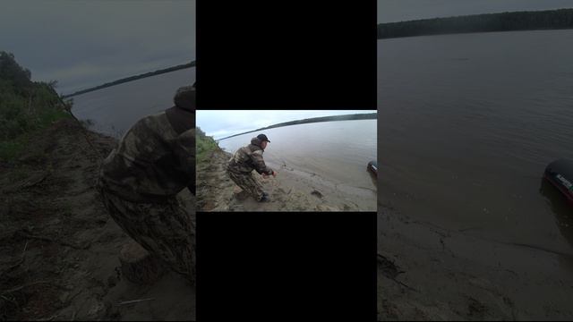 ТАКОЕ НИ ГДЕ НЕ ПОКАЖУТ, ТАК ЛОВЯТ РЕЗИНКИ!!!!#shorts