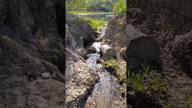 Афипс впадает в Кубань