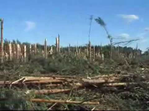 Ликвидация последствий урагана.