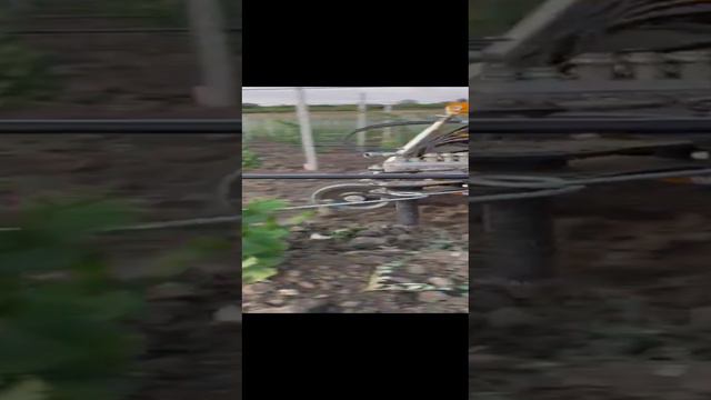 Фреза для сада и винограда межкустовая навесная на трактор