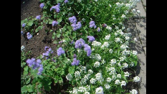 Осташков. Часть 3.