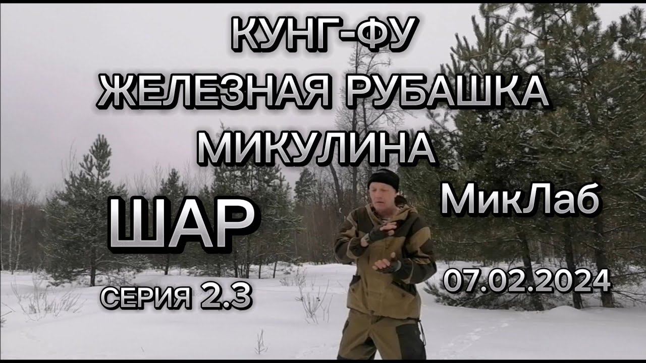 Серия 2.3. Шар. Тренировка 1. Кунг-Фу Железная Рубашка Микулина. 07.02.2024