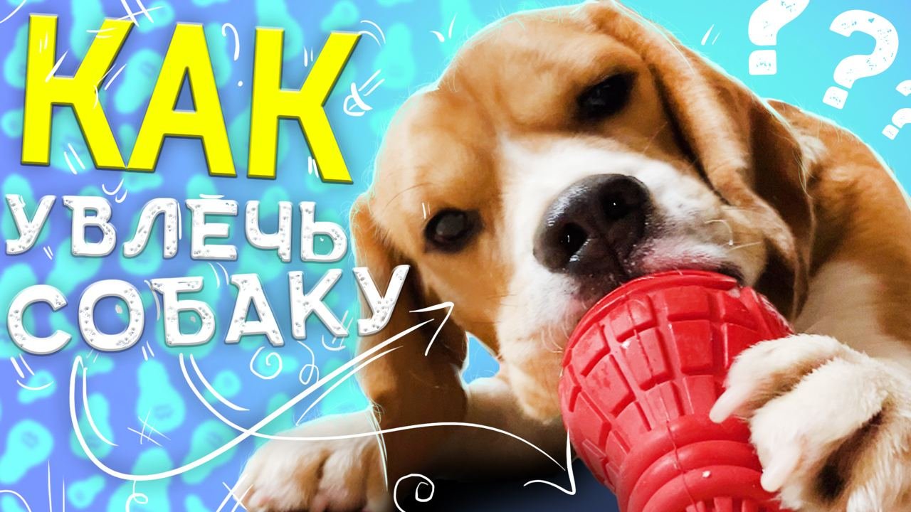 Игрушка для собак от GiGwi (Гигви)  из серии Bulb Rubber. «Резиновая лампочка»