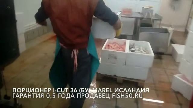 Порционер I Cut 36 Marel бу