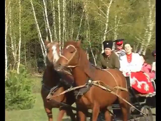 Ансамбль «Зарница» - Кабы мне да черноброваю жану