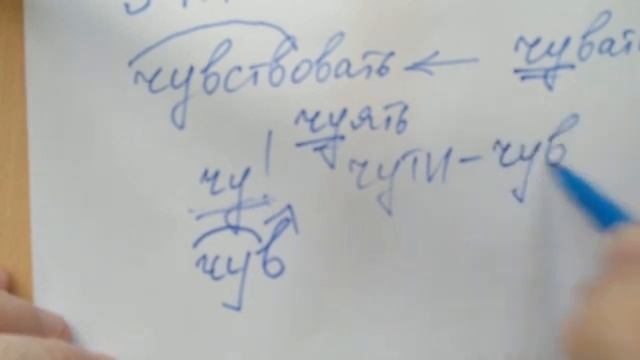 Хвостик с хвостиком, или чувствовать и участвовать.mp4