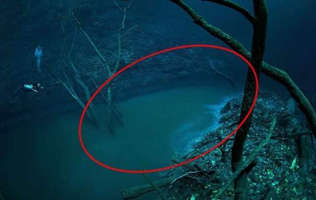 Река под рекой! Мистическая подводная река в Мексике - Сенот Анжелита!