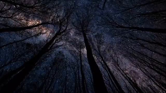 Эти  чарующие мелодии , вызывают желание Жить! Музыка С.mp4