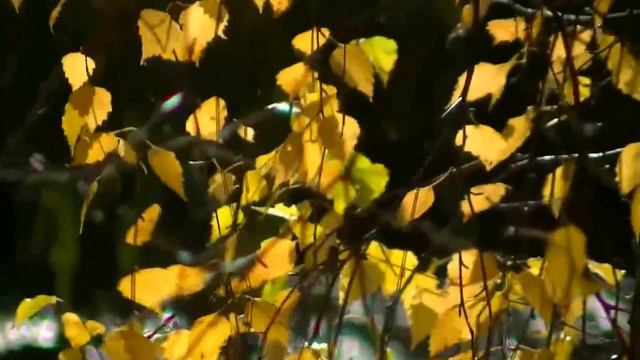 Повремени листопад -ред. 2015-