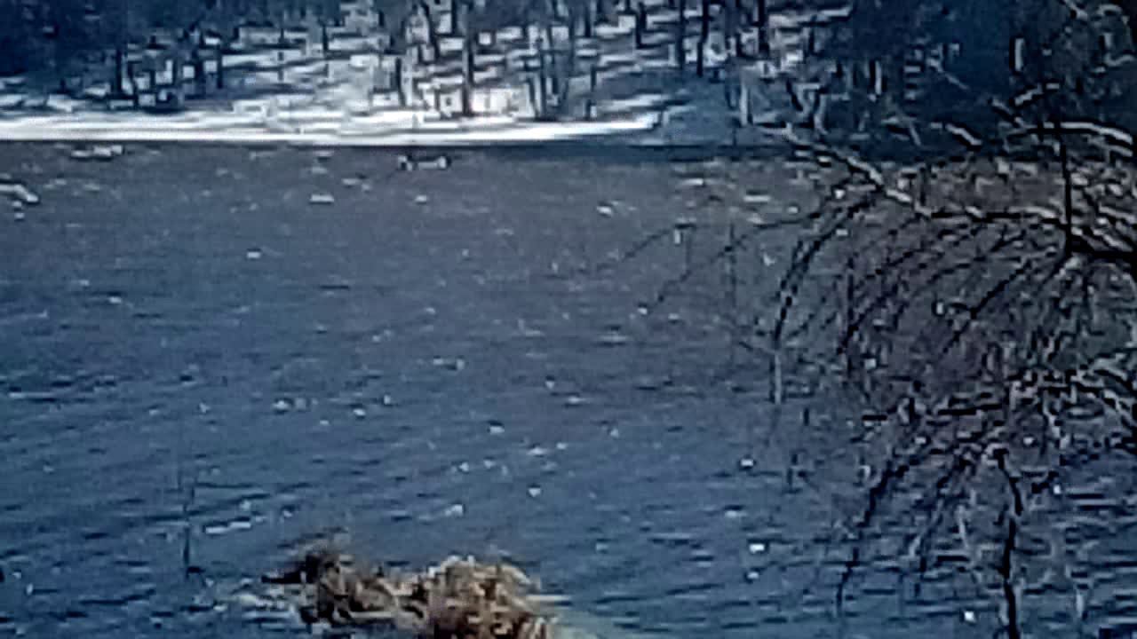 Апрель 2019. Река Ирбит(Ирбитка). Течение в обратную сторону