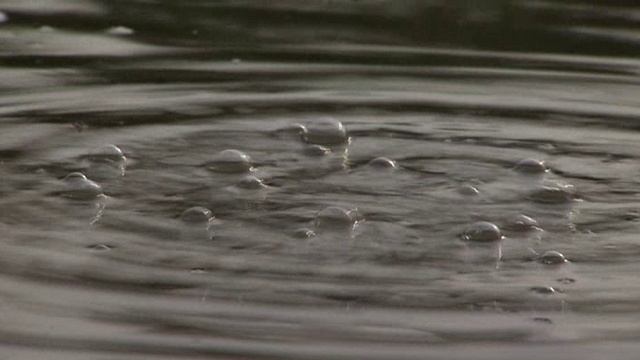 Дикий Китай 5 часть