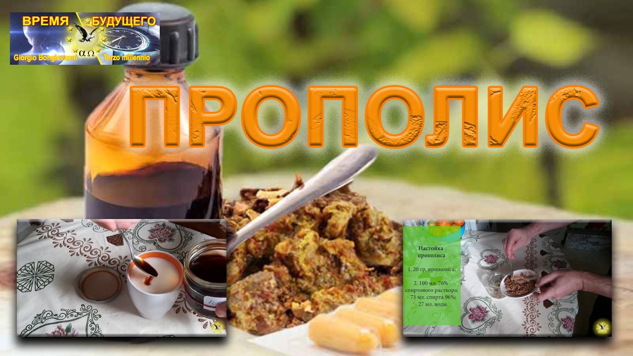 Прополис