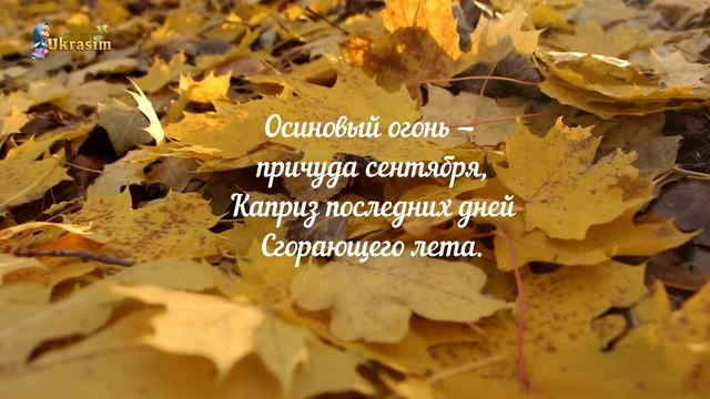 Поэтическа среда. Рубальская.Осиновый огонь.mp4