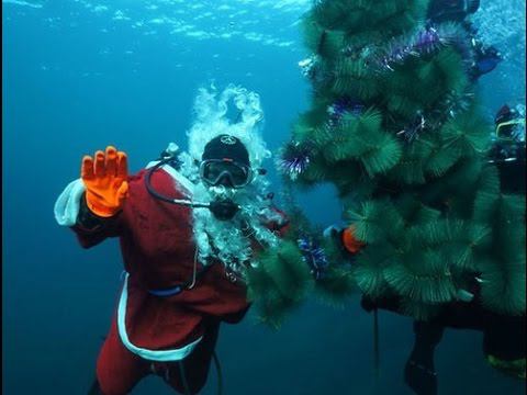 Новогодняя дайв-ёлочка на Байкале 2016