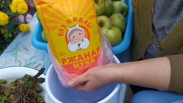 Яблоки Антоновка моченые с ржаной мукой