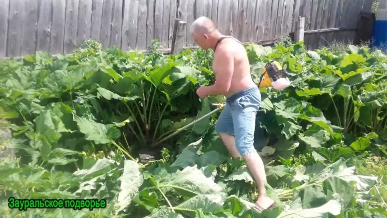 Теперь пропалываю огород только так