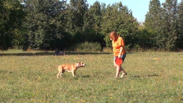 Frisbee Freestyle Анастасия и Одри.mp4