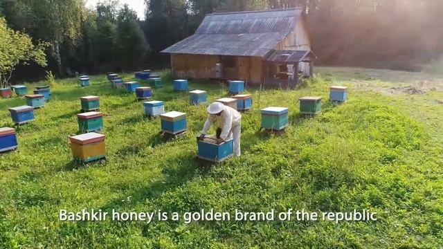 Фильм к 100-летию Республики Башкортостан