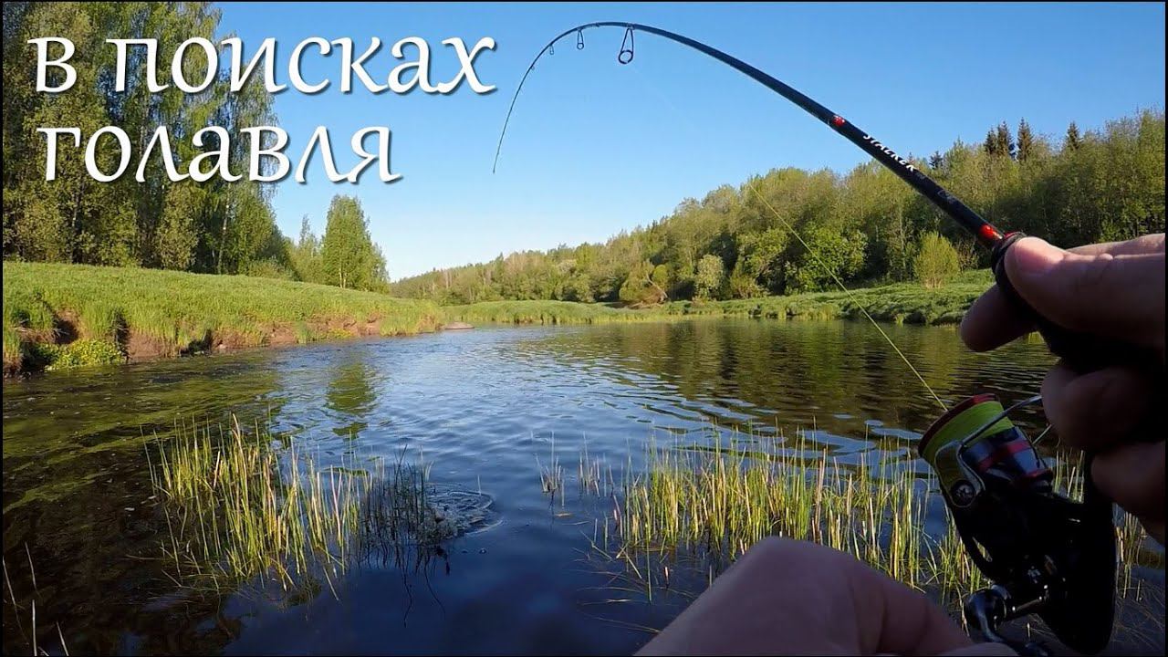 В поисках ГОЛАВЛЯ | Рыбалка на спиннинг |