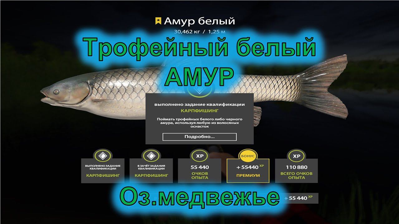 Трофейный амур рр4 оз.медвежье