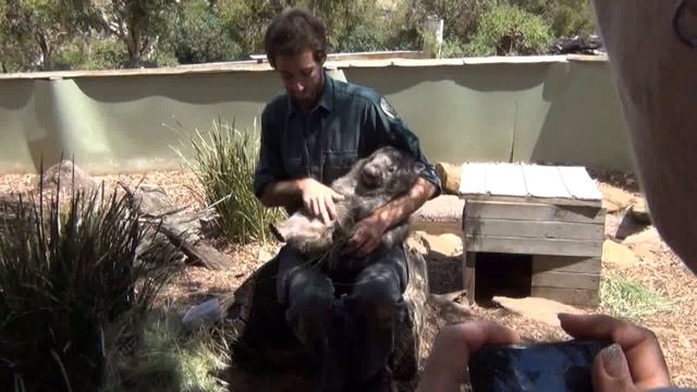 Поездка в Австралию и Н.Зеландию 2014.avi