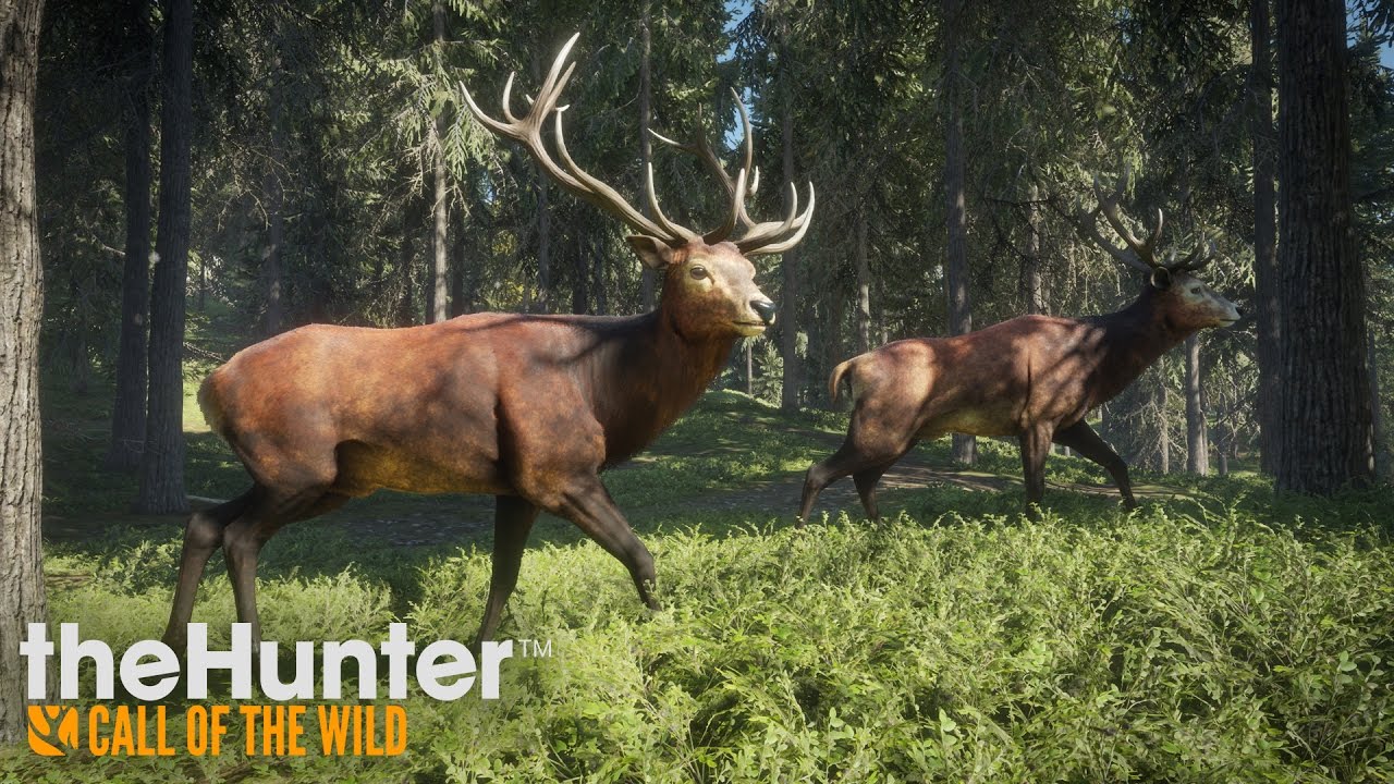 theHunter:  Call of the Wild | Gameplay Trailer | симулятор охоты