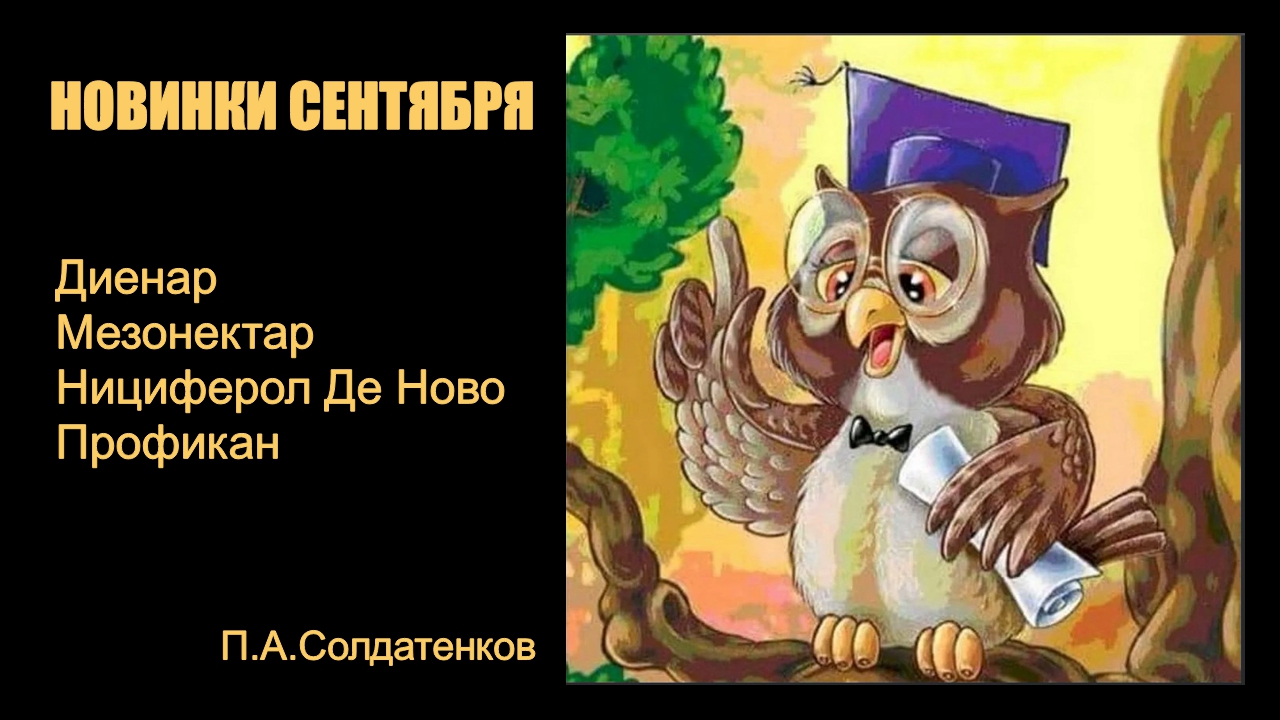 СОВО-СОВА Новинки сентября.mp4