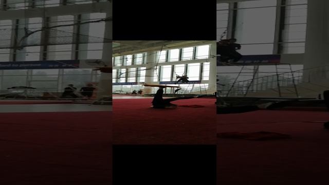 Пуйян акроунивер (7)