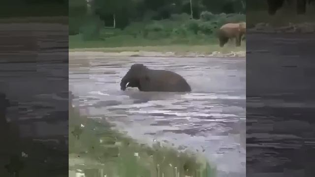 VID_20221216_184758_971.mp4