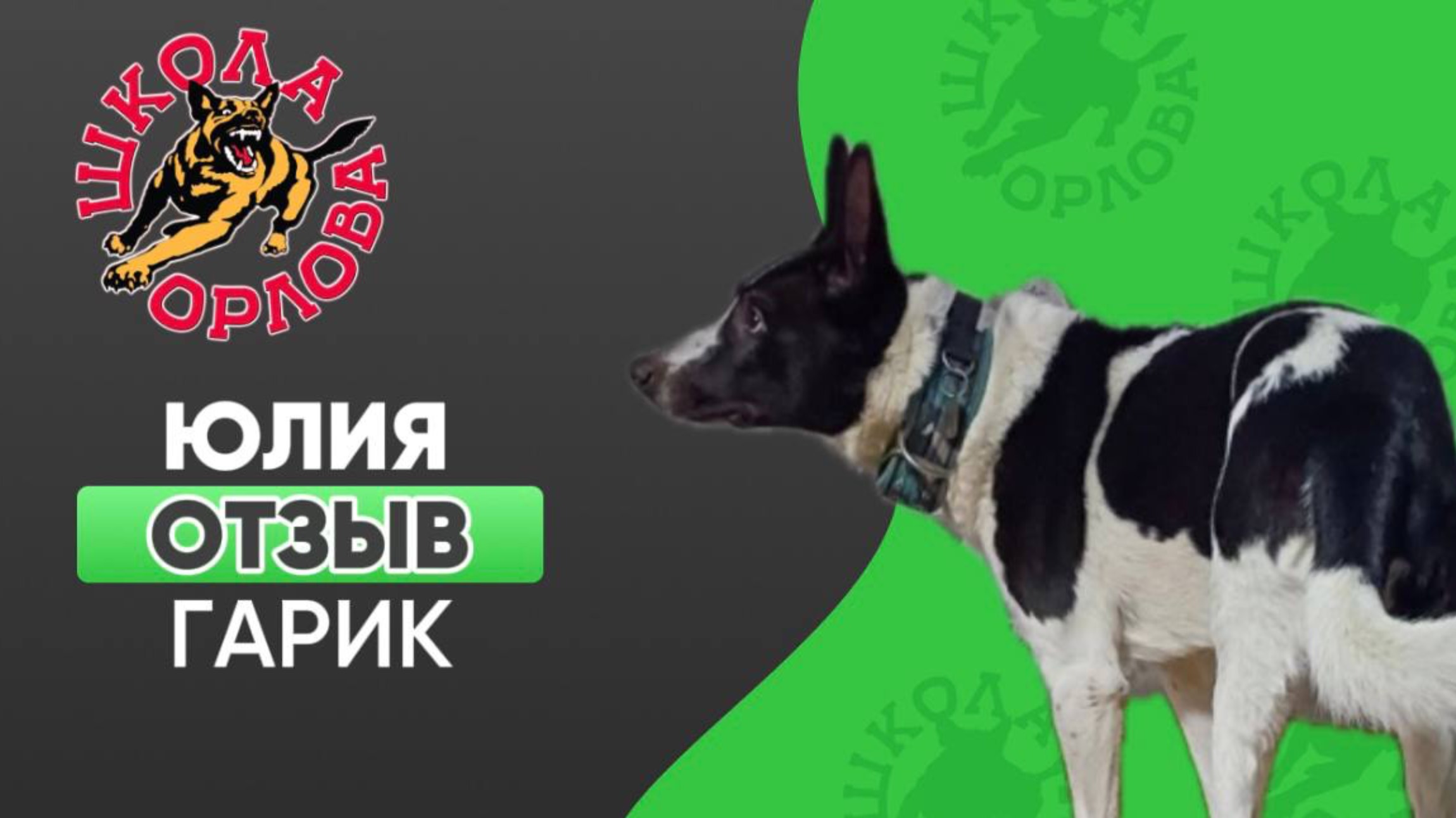 Мы стали счастливыми...