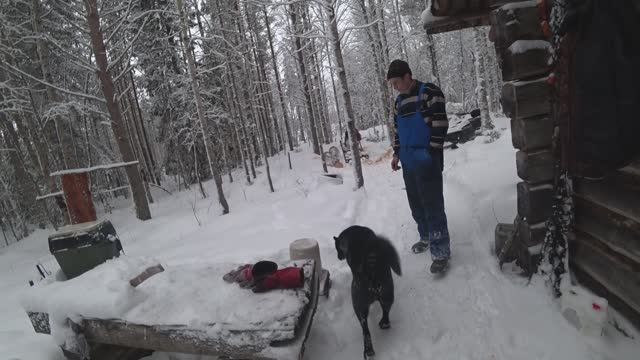 В ТАЙГУ С НОЧЕВКОЙ / ИЗБА / ТАЕЖНЫЙ БЫТ / ПРОВЕРКА ЖЕРЛИЦ / ПРОВЕРКА КАПКАНОВ НА КУНИЦУ