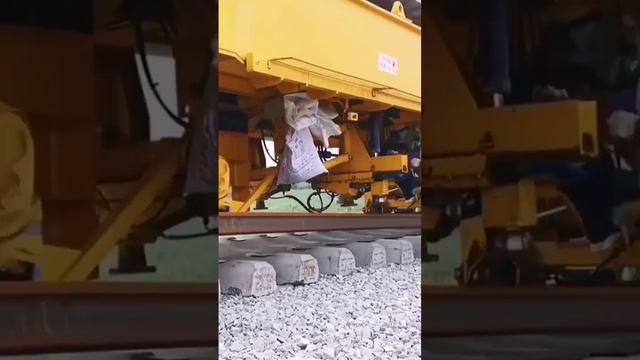 VID_20221228_185325_305.mp4