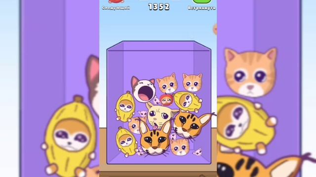 Эволюция котов мемов?. Тот самый мем из ютуб шортс!