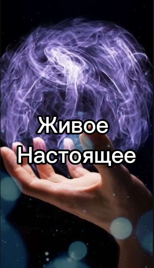 Живое настоящее