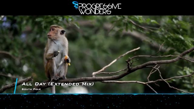 South Pole - All Day (Extended Mix) [Music Video] [Emergent Shores]