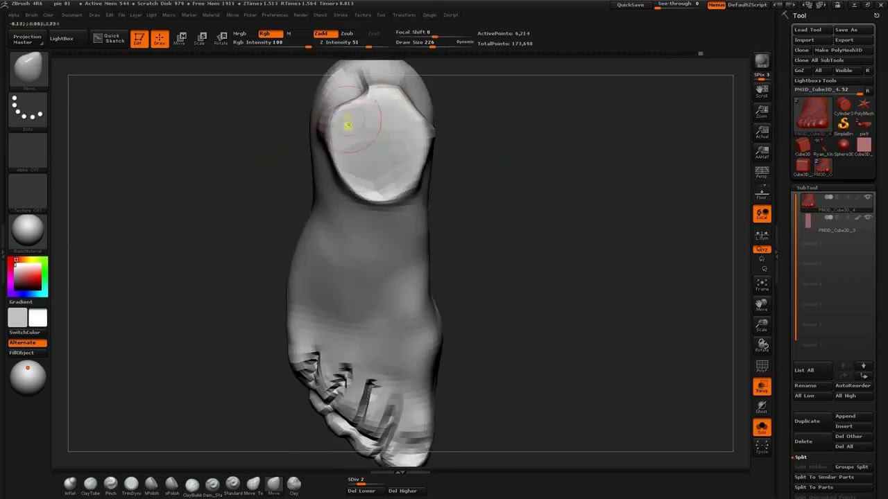 Anat Vol 03 06  Foot Base part 3 4