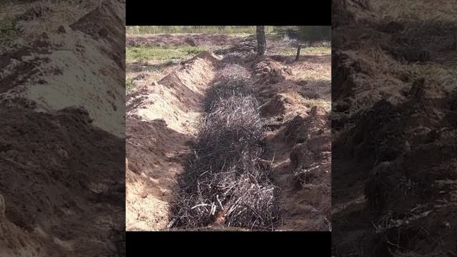 Высокие грядки