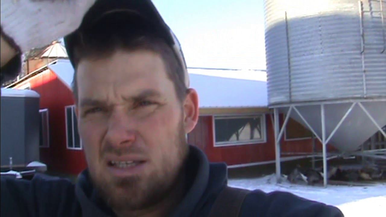 How we make our own chicken feed.