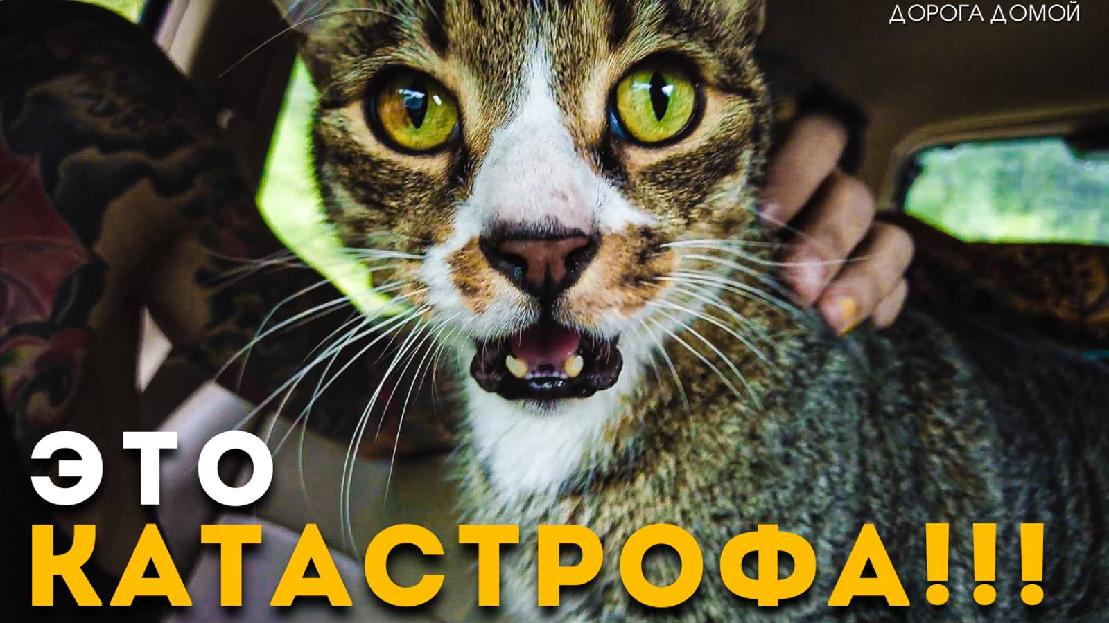 Дорога в Манали разрушена! Прорываемся через обвалы в Гималаях.