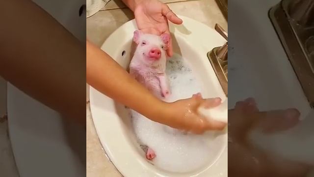 ВИЗГ блаженства...просто кайф.mp4