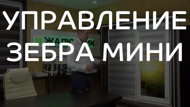 Управление рулонными шторами Зебра Мини правое или левое.