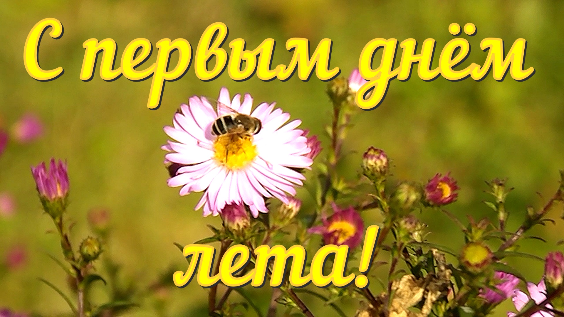 С первым днём Лета!