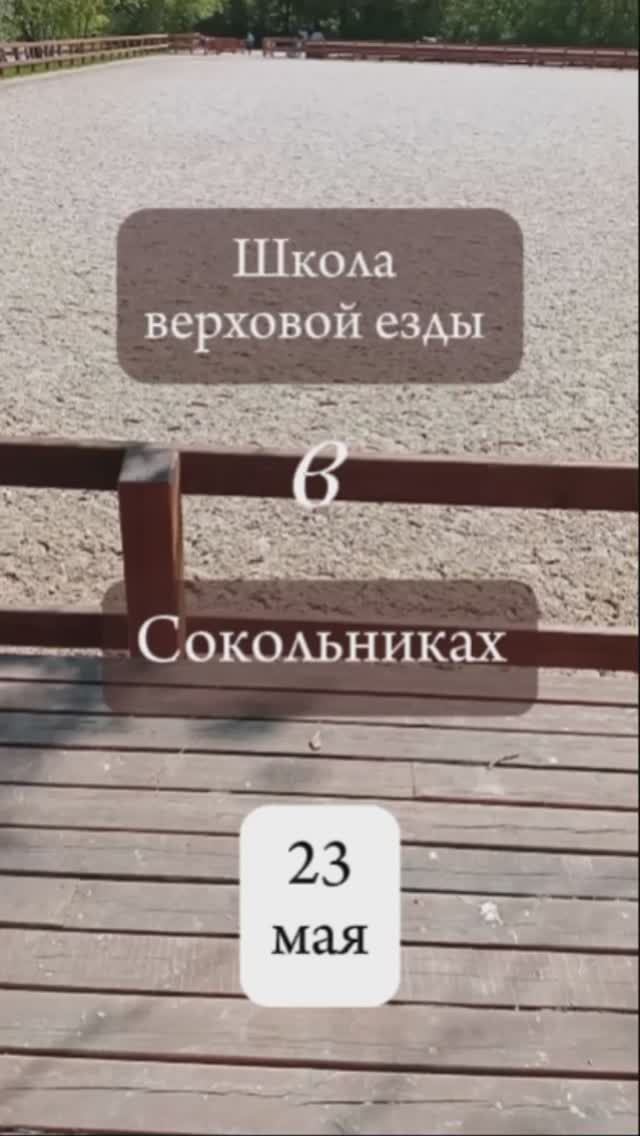 Школа верховой езды в Сокольниках