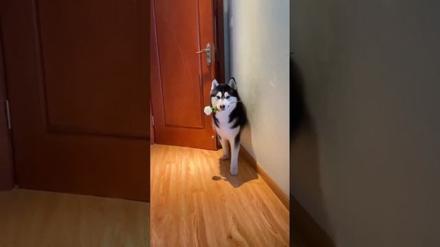 С Праздником 8 Марта! девочки, девушки, мамы, бабушки?