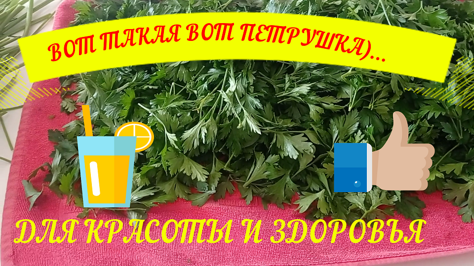 #петрушка Петрушка для красоты и здоровья!#ароматическая приправа#зелень#сок_петрушки#зелень_петрушк