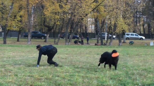 Фризби Фристайл Людмила и Джек Осенний вальс.mp4