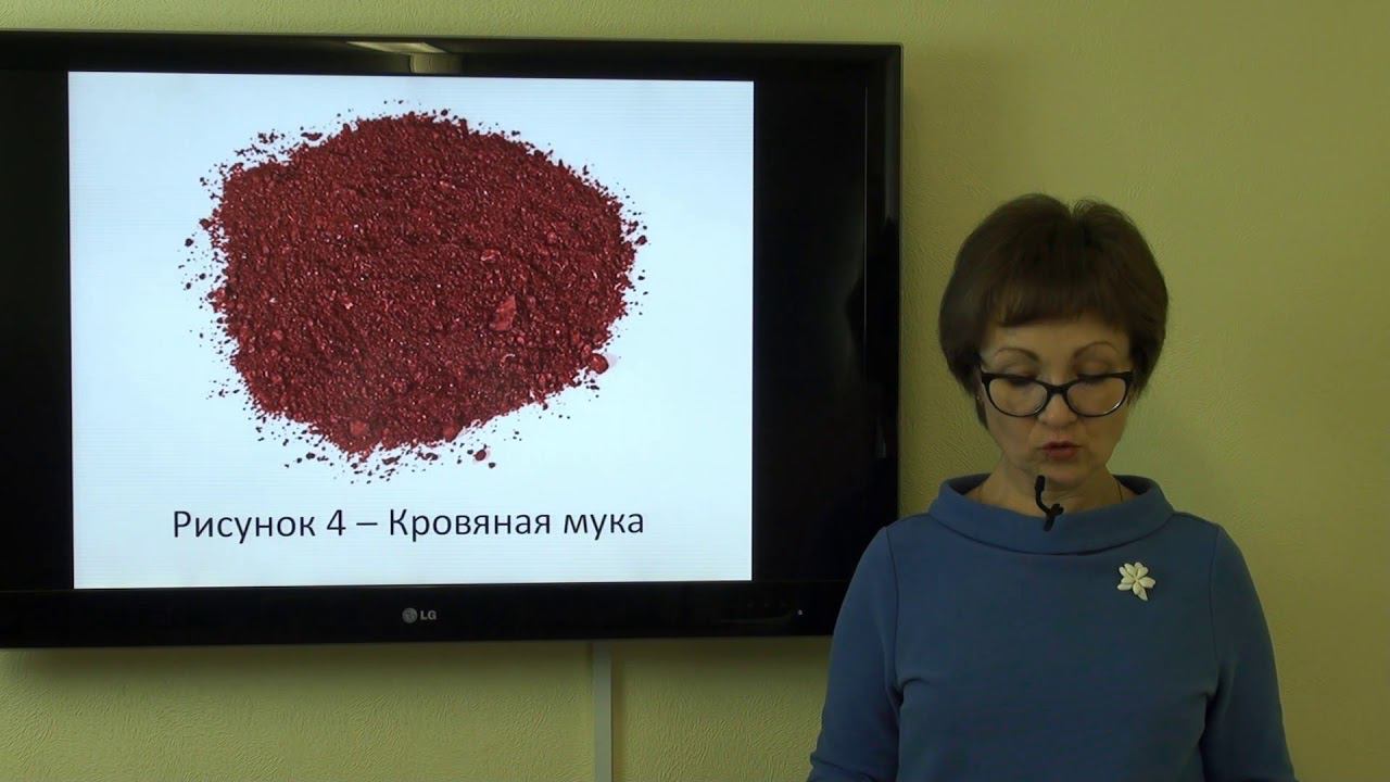 Козина Е.А. Естественная пища рыб Часть 1 Корма для рыб Часть 2