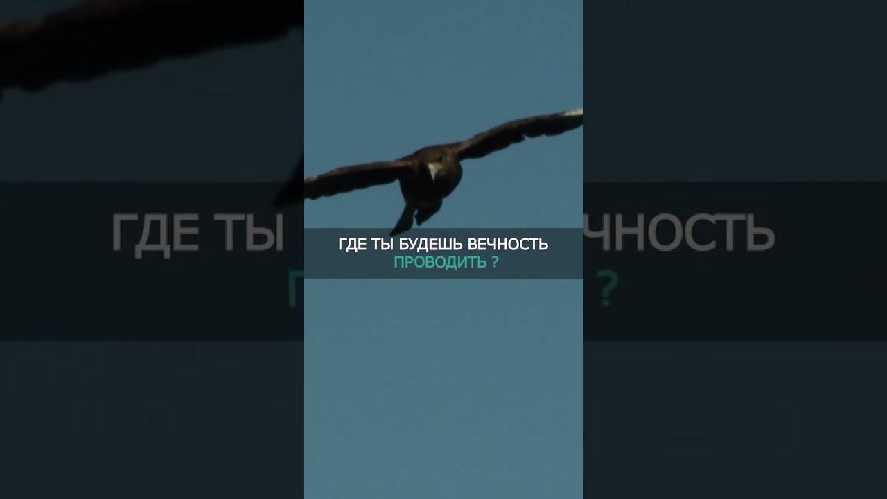 Где ты будешь вечность проводить? Часть 3 #shorts